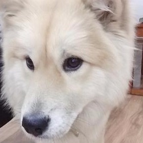 面瘫小婷在东莞 