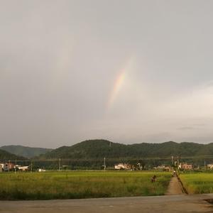 鬼鲛二号 