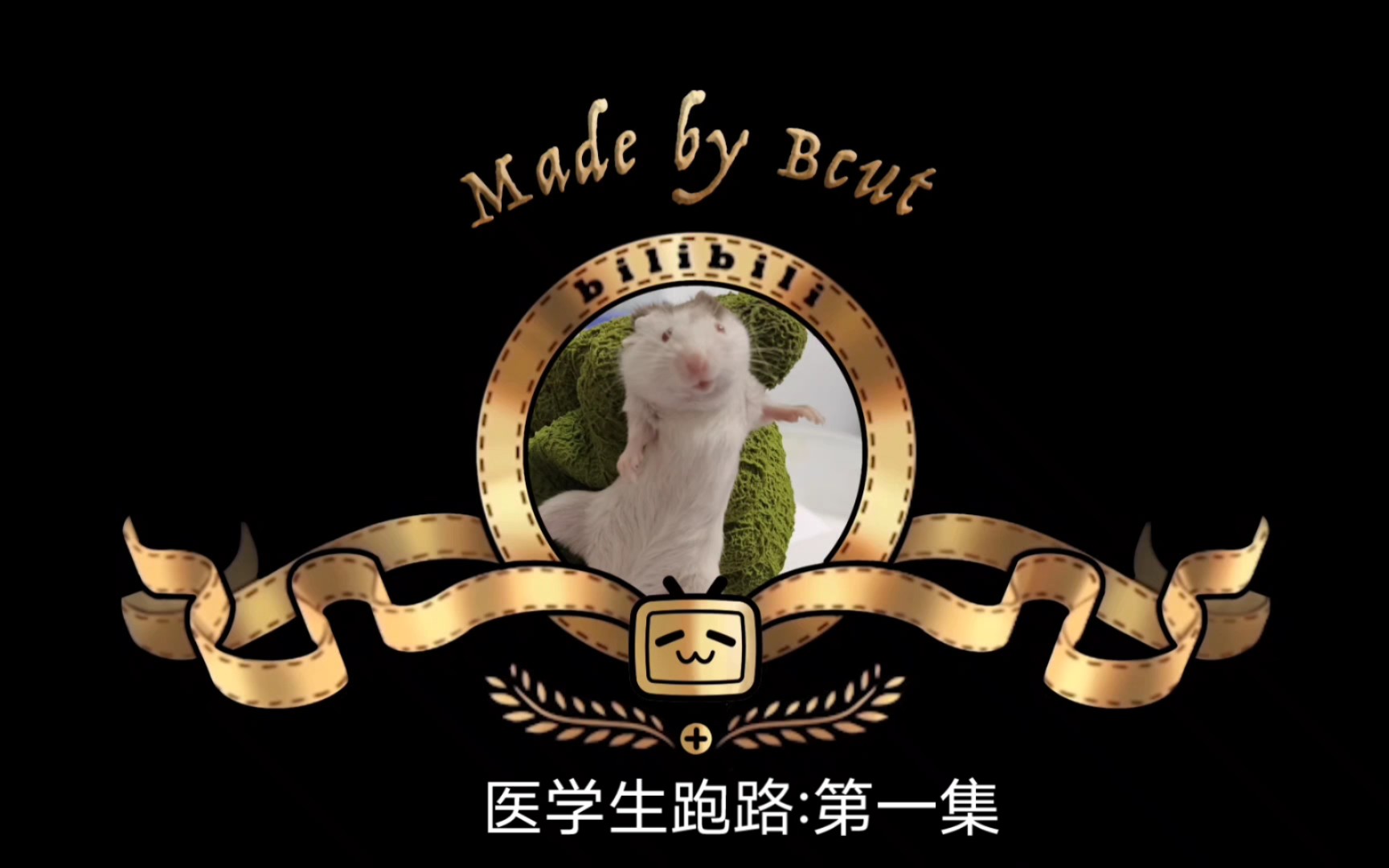 医学生转行第一集——阿斯利康医药代表实习生