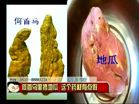 教您识别真假何首乌!