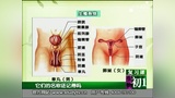 初一生物:人体结构和功能复习课