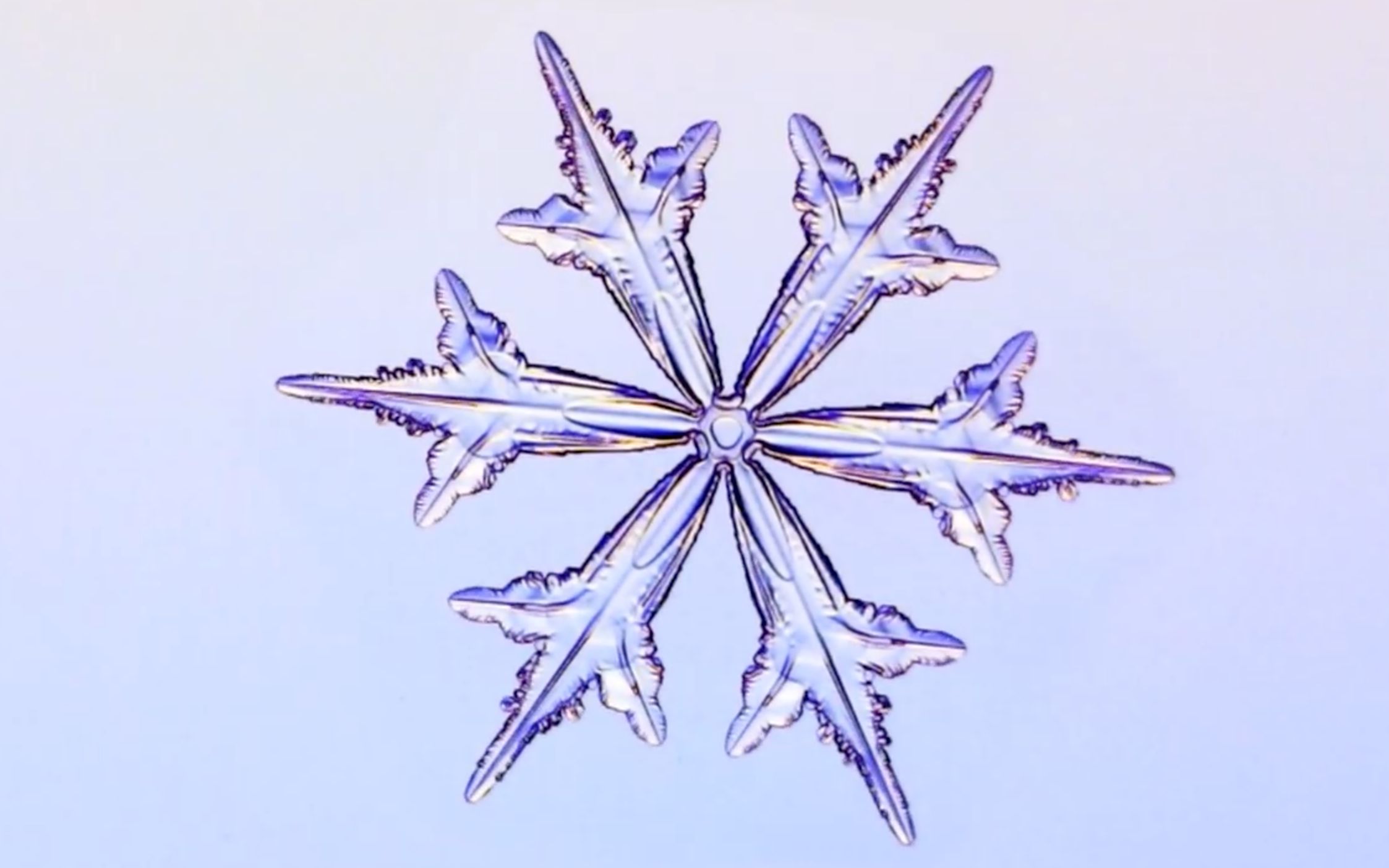 世界上有两片一模一样的雪花吗?