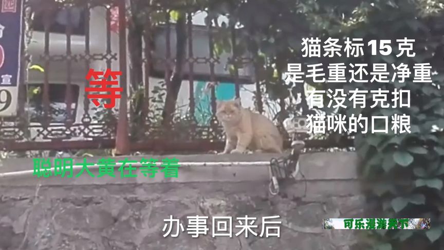 标重15克是毛重还是净重?这样不清晰有克扣嫌疑不,实秤包装2克
