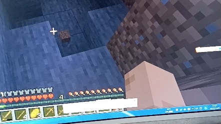 我的世界有没有人玩,电脑版玩的话,私聊