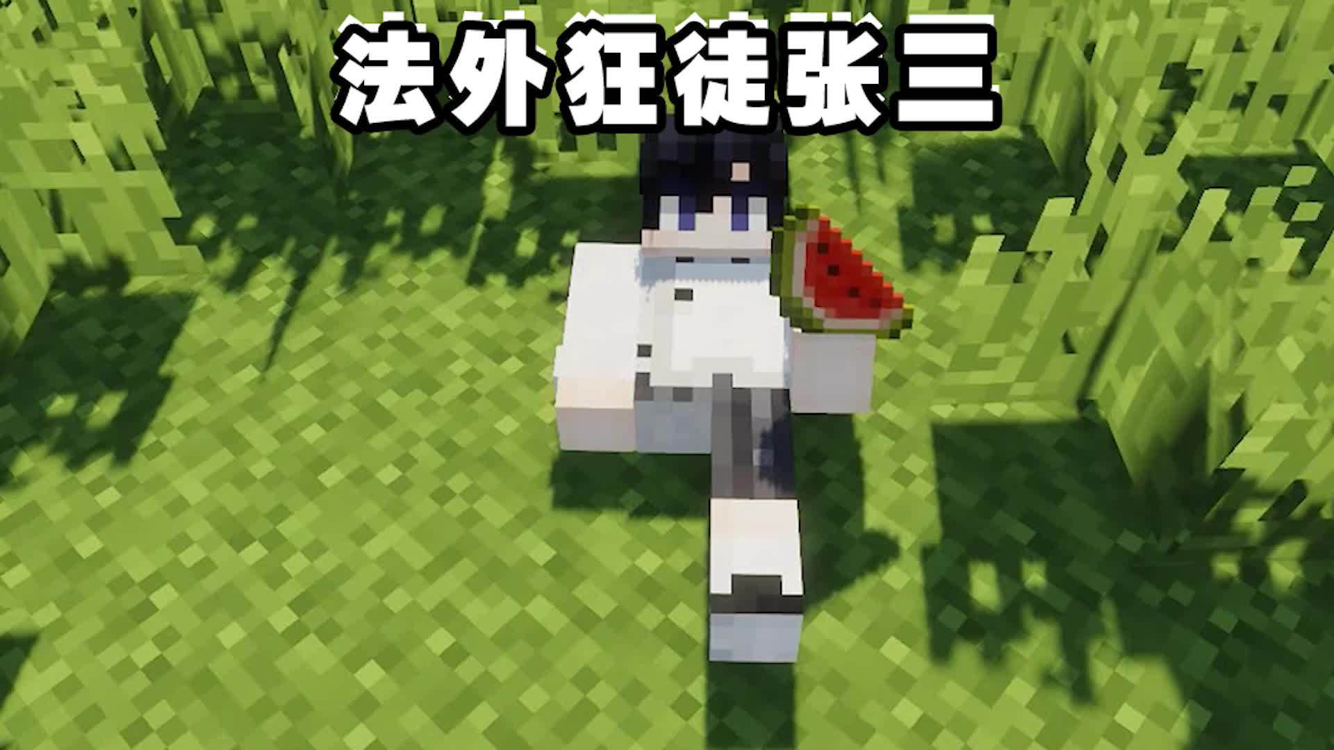 我的世界:法外狂徒张三