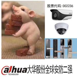 阿宝~白杨安防网络 