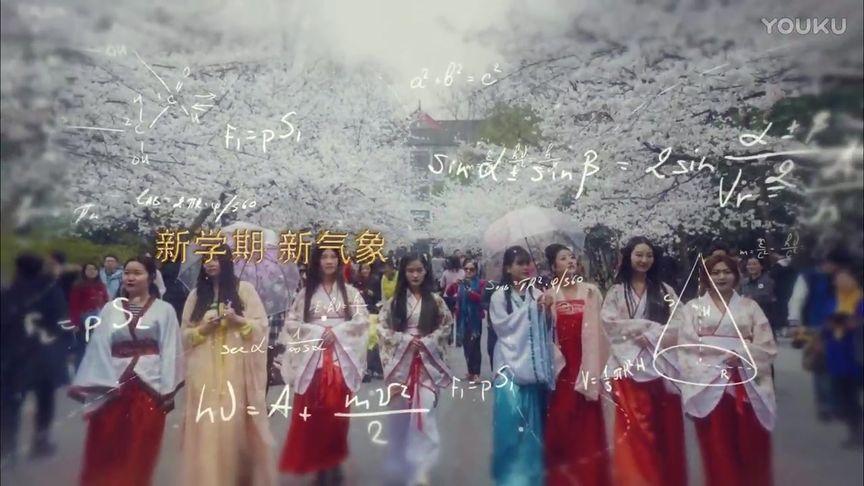 南京林业大学宣传片 超清