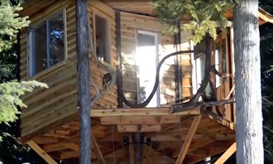 小伙耗时一年在9米高的树上建树屋,这电梯设计绝对给满分!