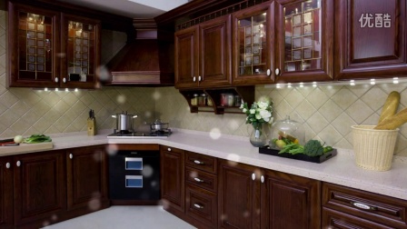 帝普森厨余垃圾处理器产品介绍篇