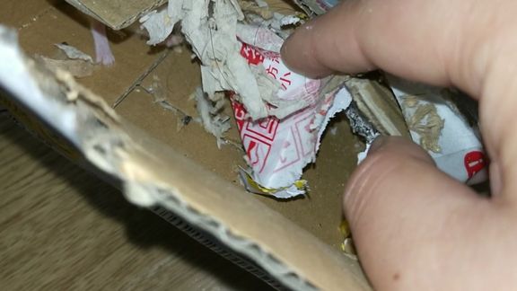 逃跑的1只小仓鼠既然开始在我家见窝了,我的妈呀~这样太神奇了吧