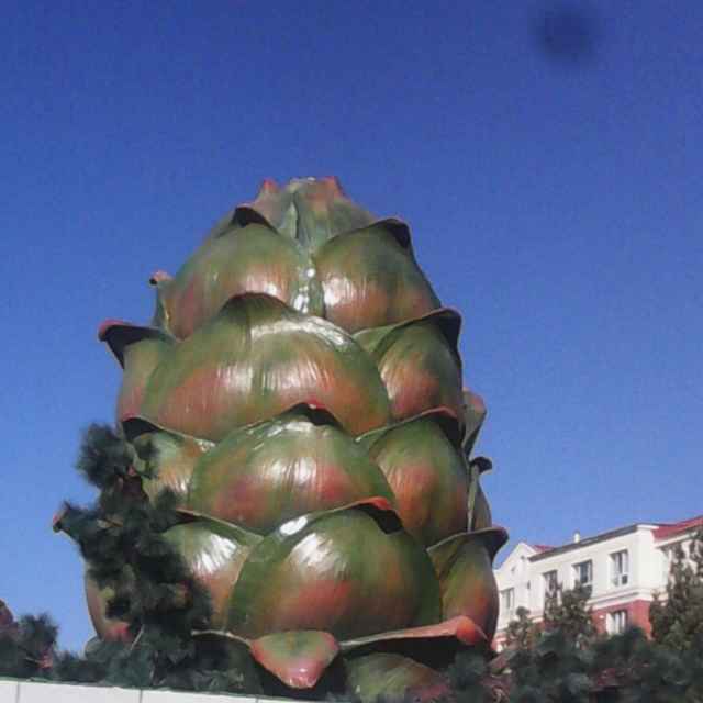 根河冷极零下58度 