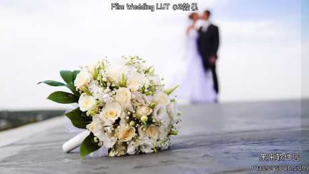欧美风格婚礼lr/ps/luts调色预设