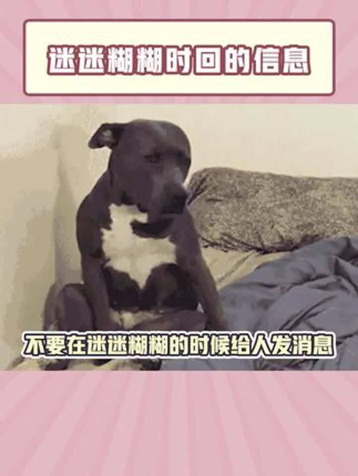 好混乱的语言系统!聊天记录