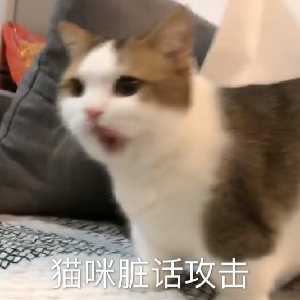坚果坚果坚果坚 