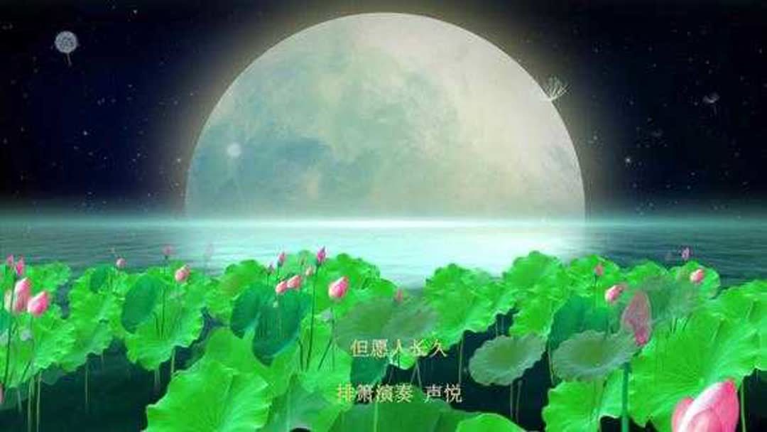 但愿人长久 排箫演奏 声悦