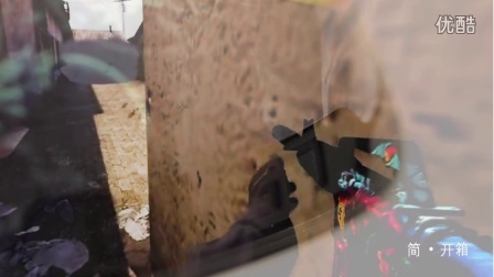 [简·开箱] 赛睿Rival 300 CSGO暴怒野兽版——外设天下