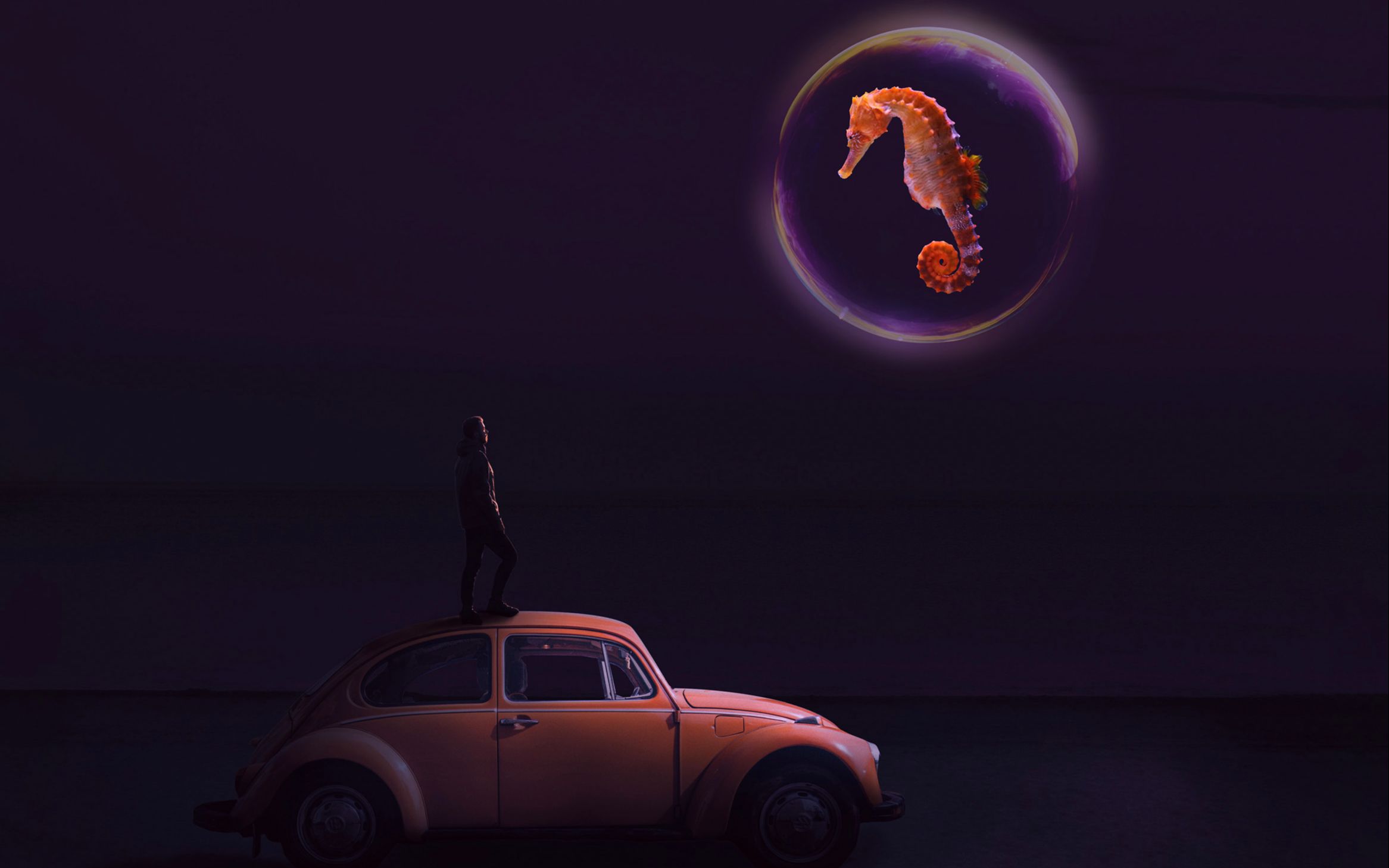 photoshop简单合成特效实例练习,遇见海马