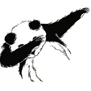 panda_huang 