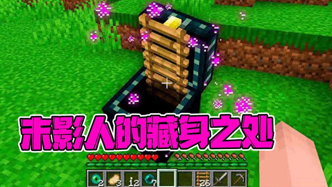 我的世界:鸠占鹊巢!末影人的藏身之处却成了阿呆的新家?