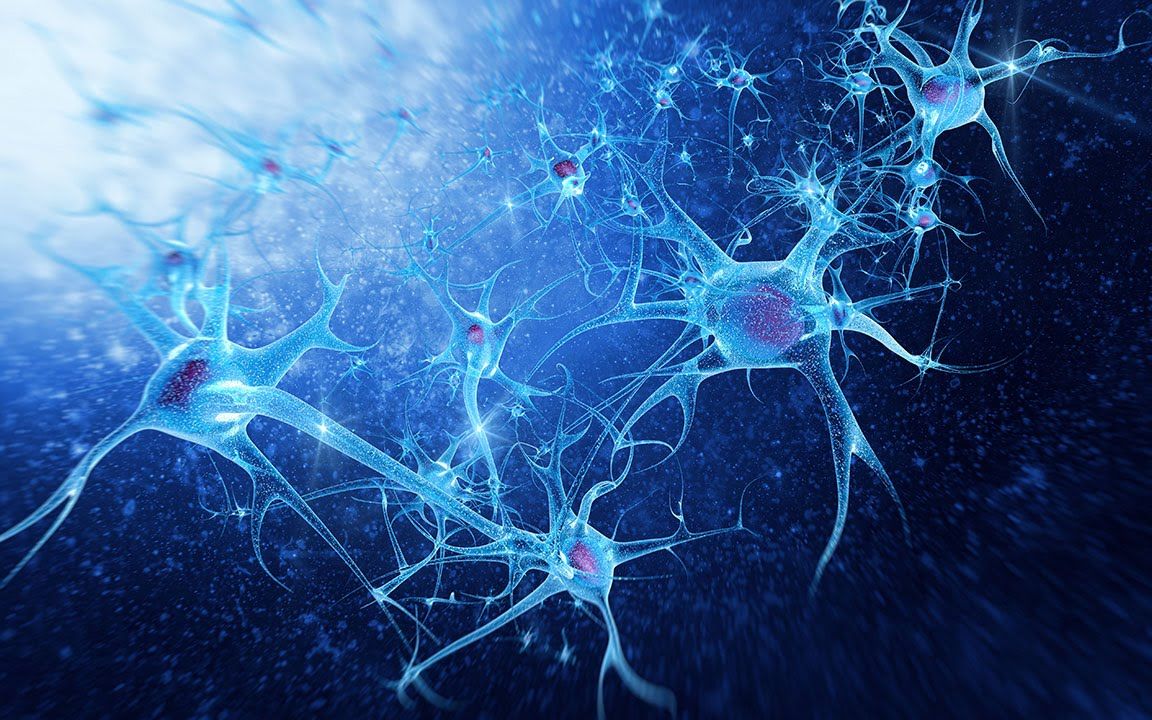 Human Physiology(51):动作电位的离子基础(part1)