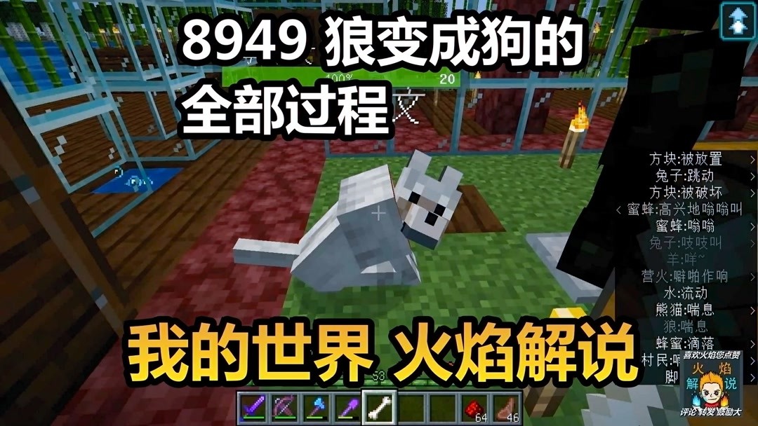 我的世界 火焰解说 8949 狼变成狗的全部过程