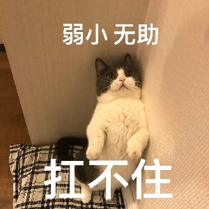 勤劳的小七小八小九九 