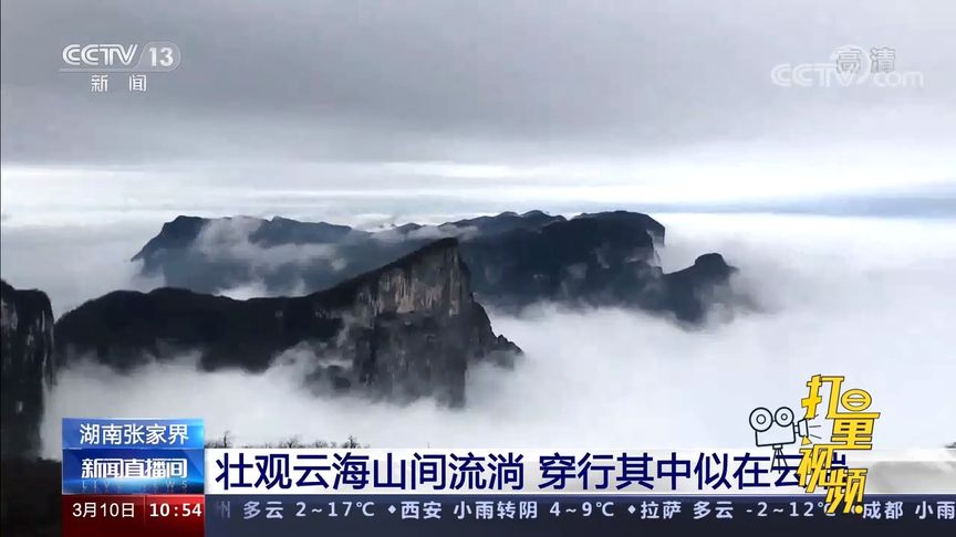 气势恢宏!张家界:壮观云海山间流淌,穿行其中似在云端