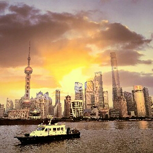 打死不实践的牛宝宝 