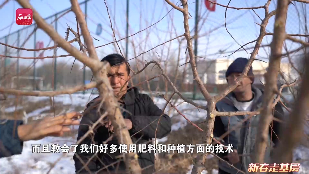 农资充足培训到位 库车只待春耕