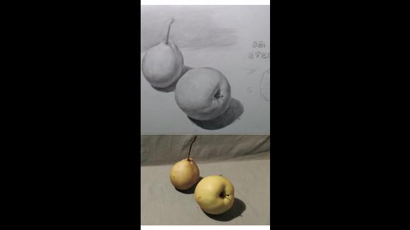 素描静物水果!还记得你第一次画的水果是什么吗?