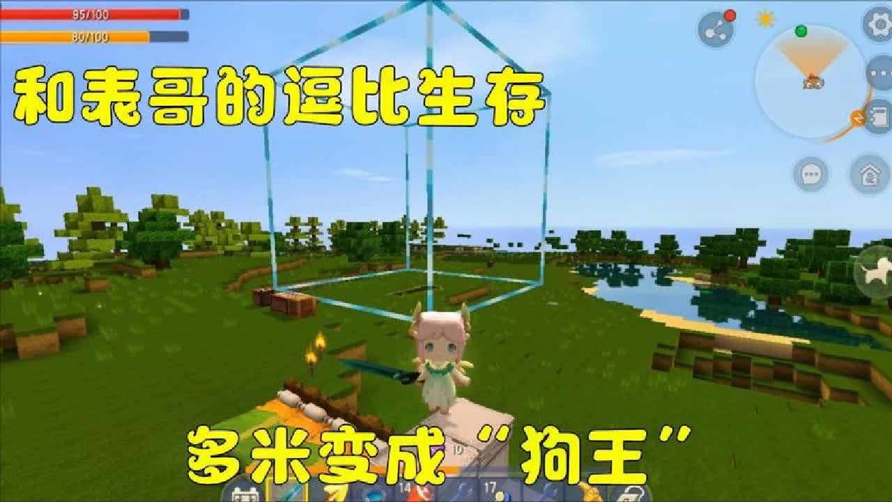迷你世界!和表哥联机生存,多米带回家一群狗,表哥再也不敢嘚瑟