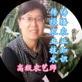 平掌柜好物 