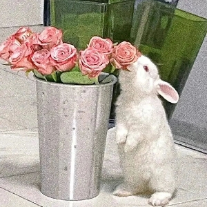 名字都被取光我溜啦 