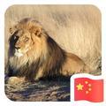 卓乐企业管理咨询 