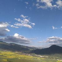 露头鸟 