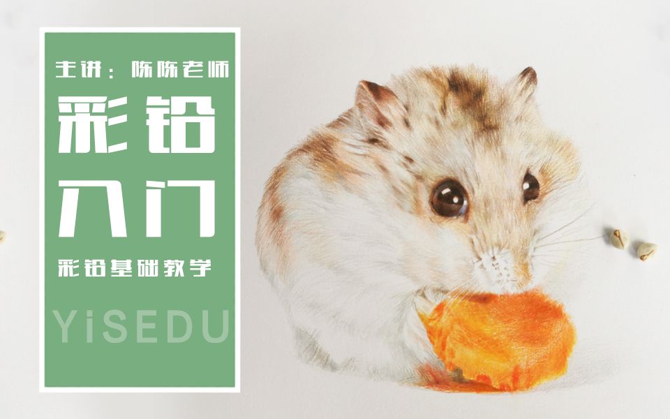 【彩铅小白联盟】陈陈老师彩铅零基础教学视频,小仓鼠起稿的画法