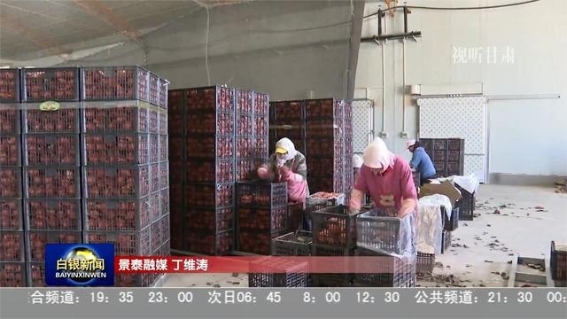 甘肃景泰:冷链仓储建设“保”农增收促脱贫