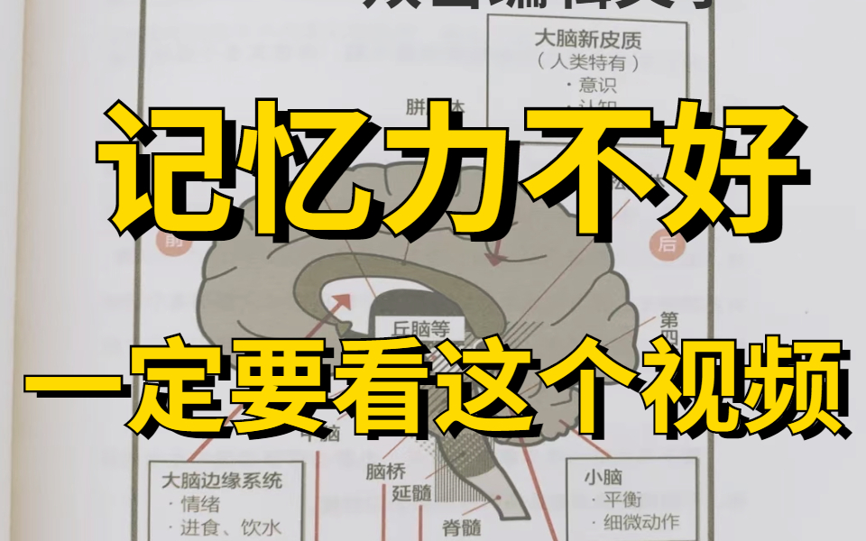 逼你学习 | 记忆力瞬间提升400%的记忆术丨破解记忆真相,让你的大脑...