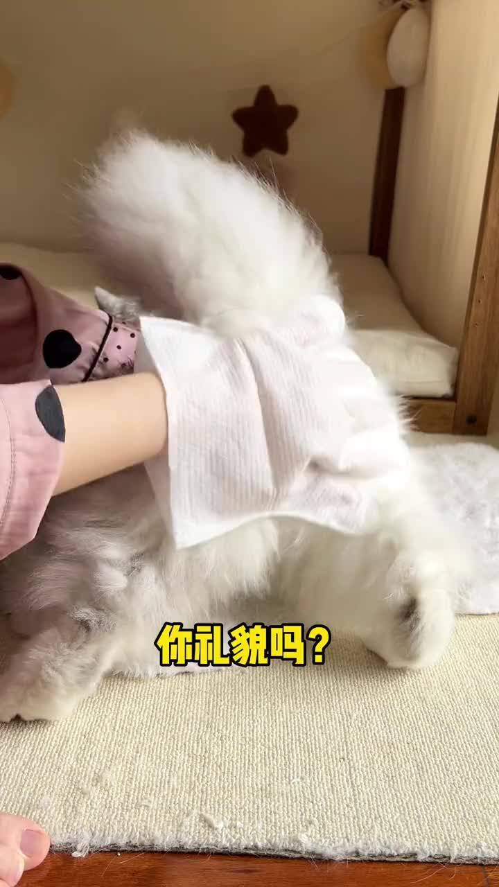 自己在家就可以给宠物洗澡啦