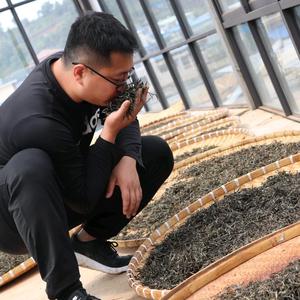 问茶事 