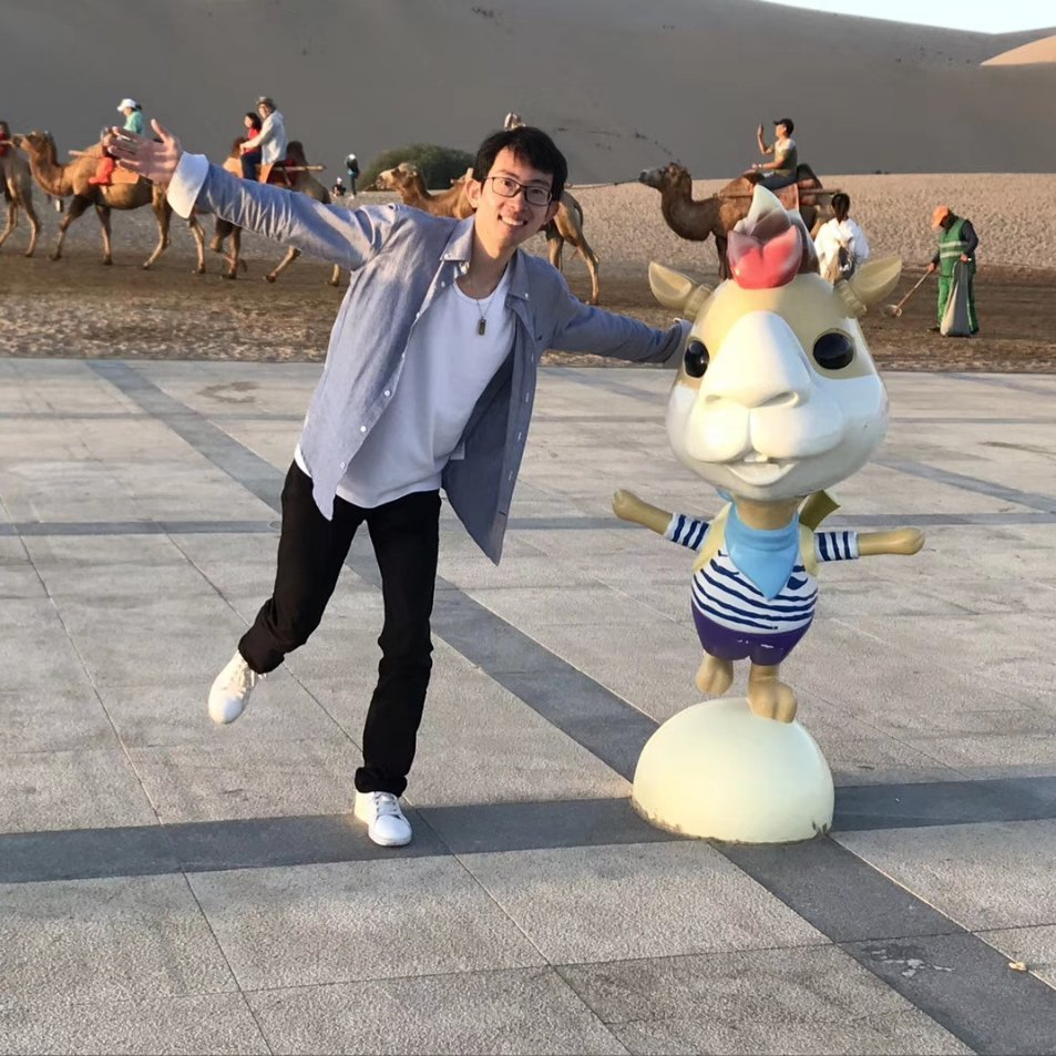 飞飞木孑飞 