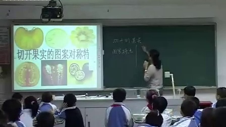 小学美术切开的果实南华小学 谷品