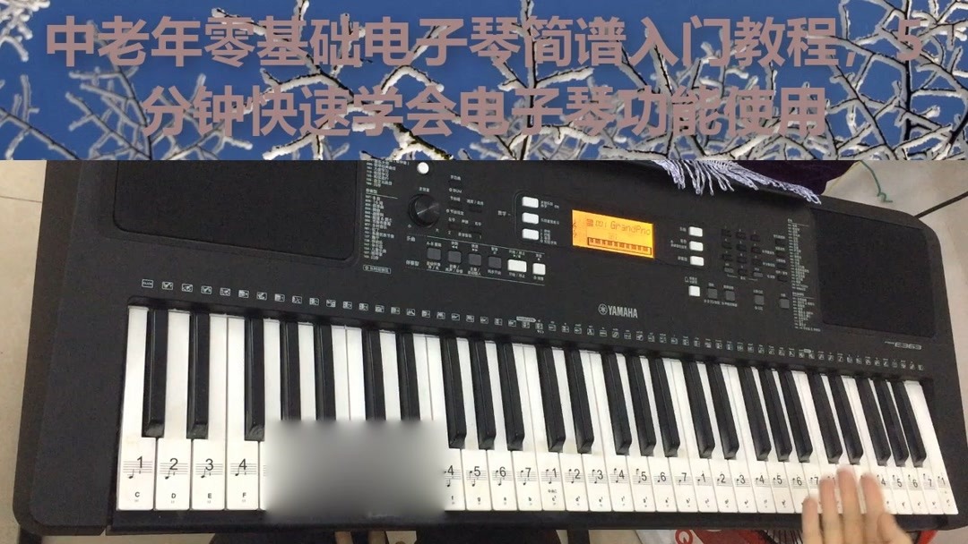 初学电子琴入门自学教程,零基础视频,老师一步一步教会你