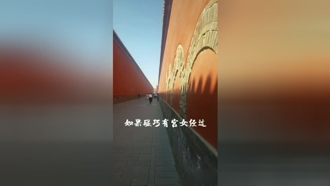 1992年故宫灵异事件墙上宫女是怎么回事?