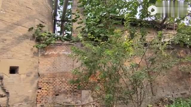 菜地里发现两座战争时期的碉堡,砖包混凝土结构,至今仍屹立不倒