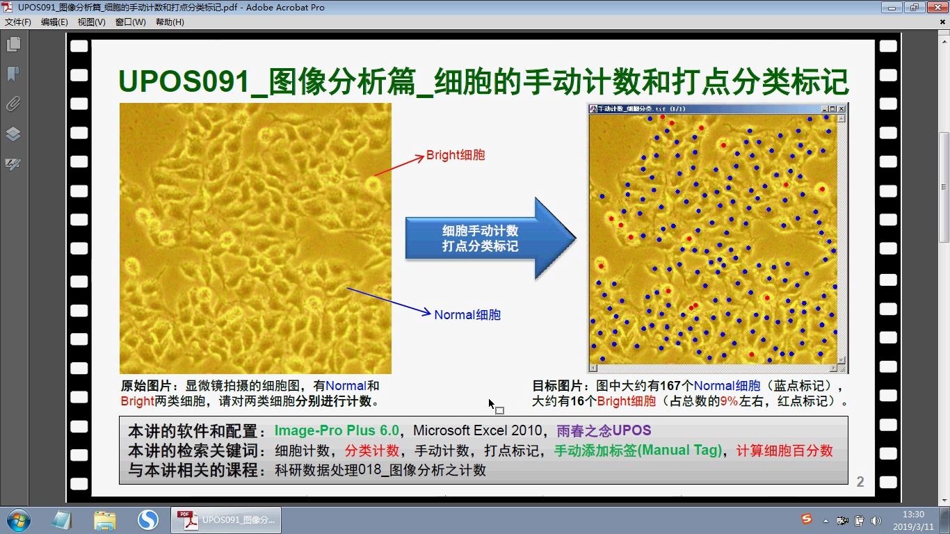 UPOS091_图像分析篇_细胞的手动计数和打点分类标记