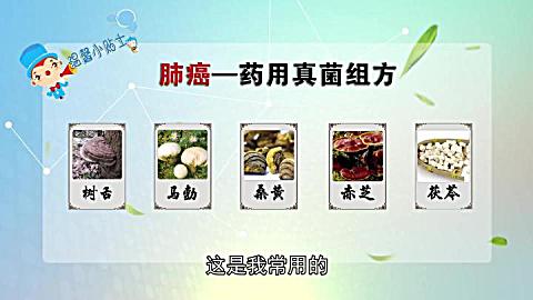中国中医科学院研究员 张文彭谈药用真菌组合治肺癌