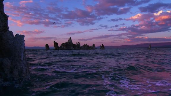 史诗级人声混合音乐《天堂颂》,音乐充满力量与野性,画面超完美