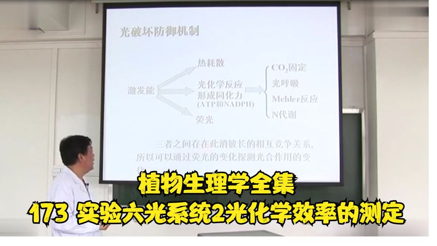 植物生理学全集 173 实验六光系统2光化学效率的测定