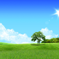 曾哥哥带你看美食 